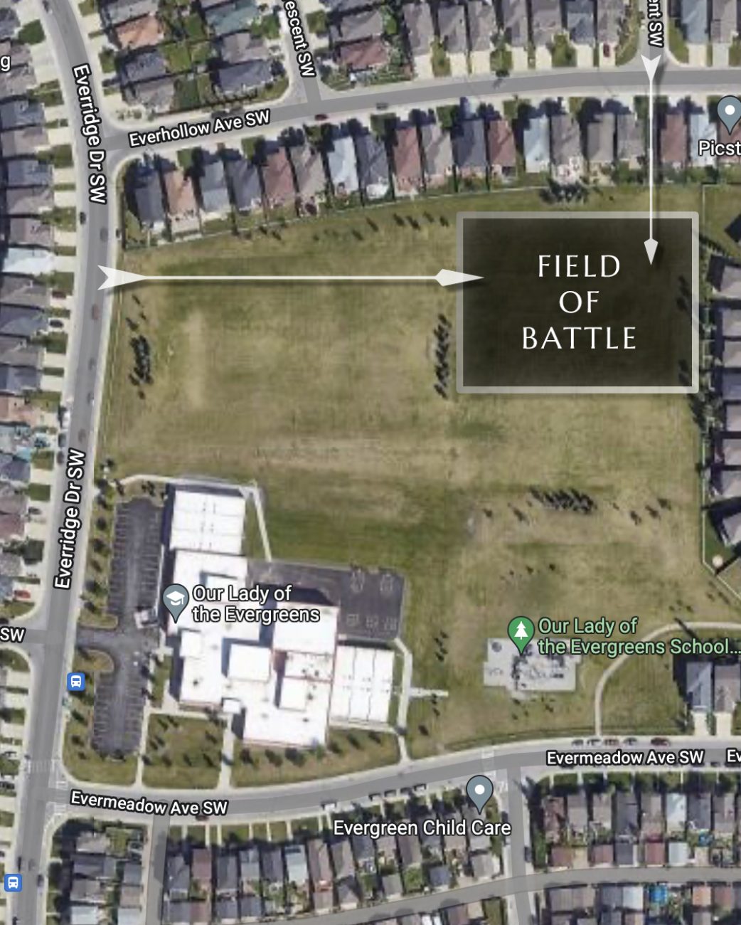 LARP Battle – Realm of Strife™